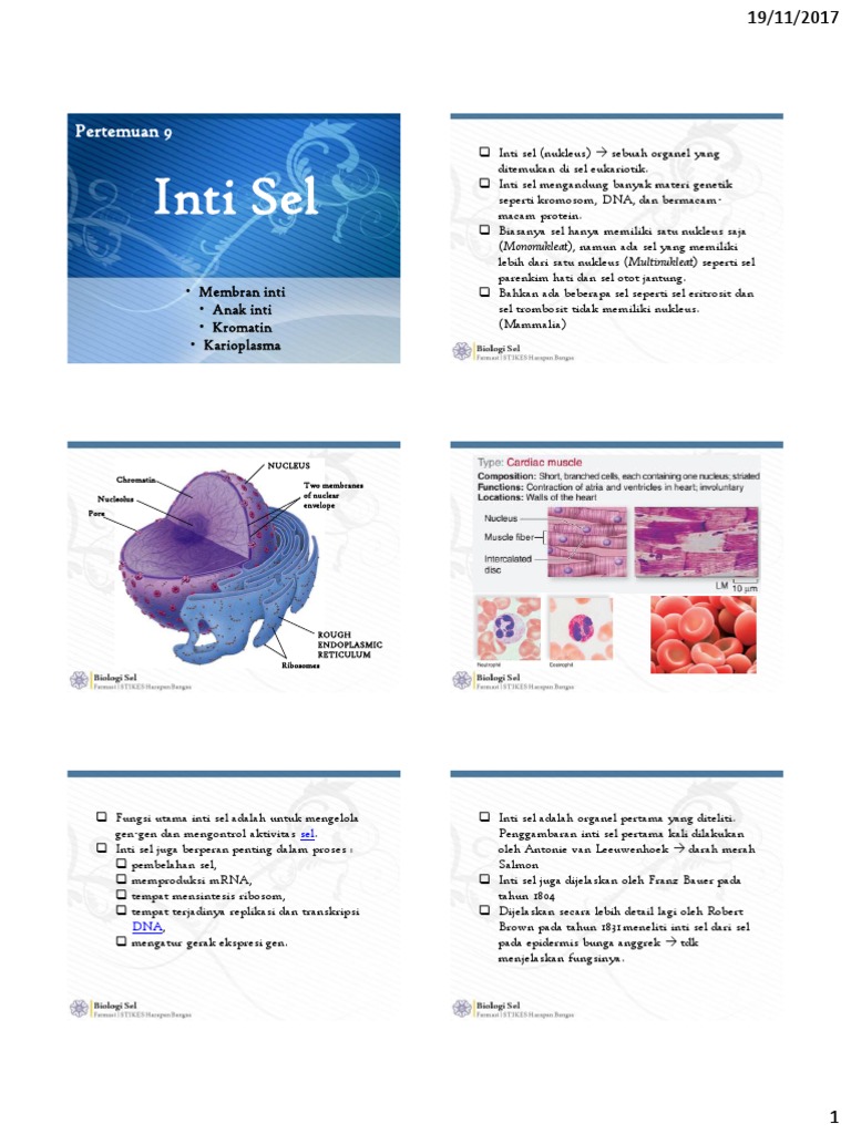 Inti Sel | PDF