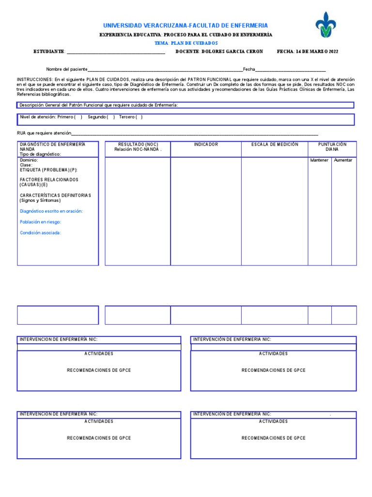 Formato de Plan de Cuidados Con Patrones Funcionales | PDF | Enfermería ...