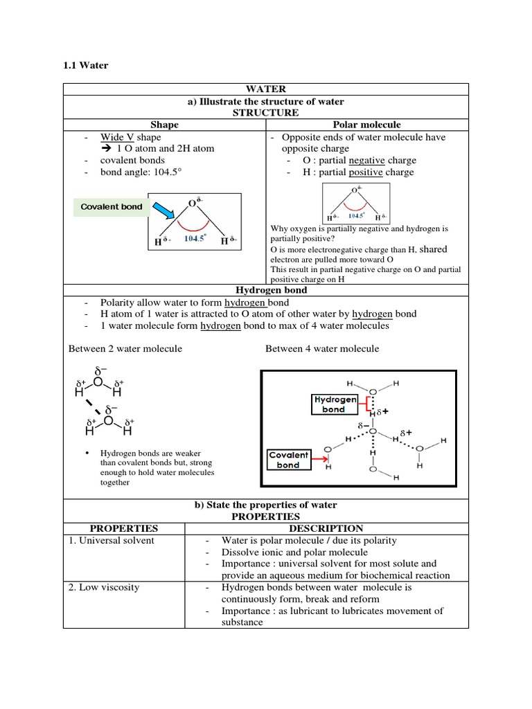 1.1 Water | PDF | Properties Of Water | Chemical Bond