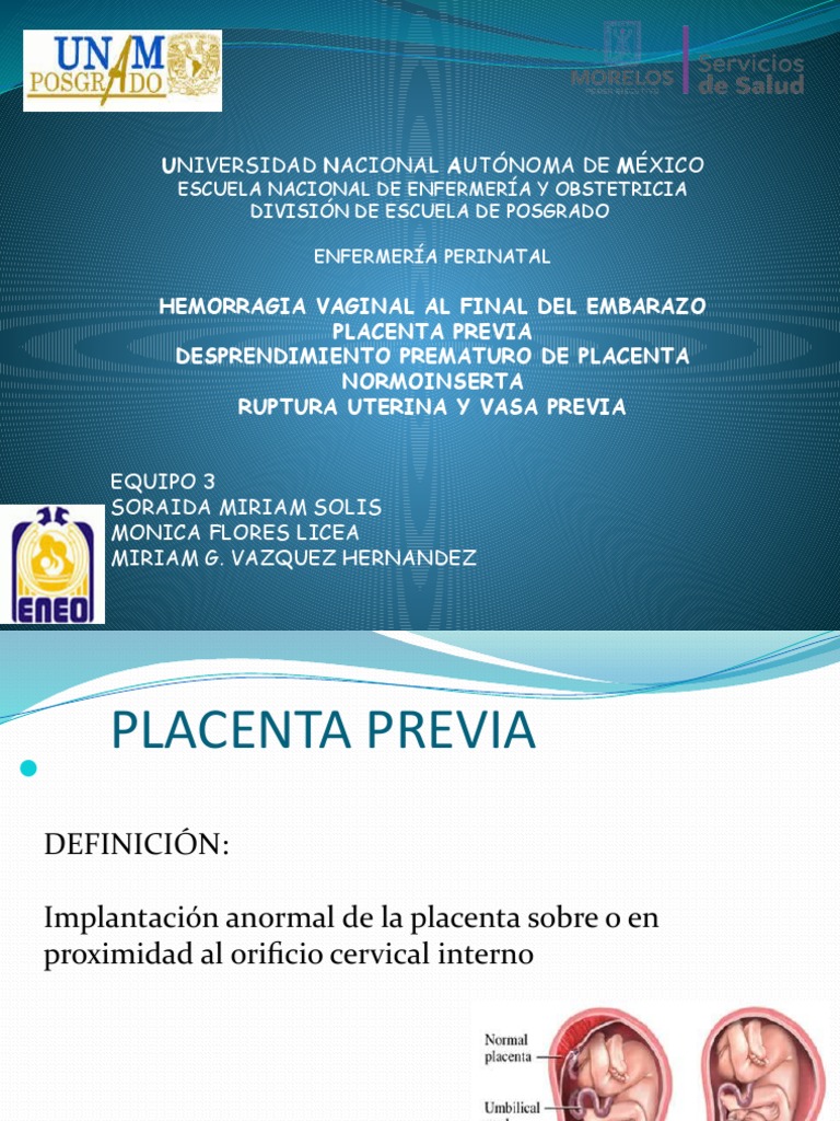 DPPNI Also | PDF | Parto | El embarazo