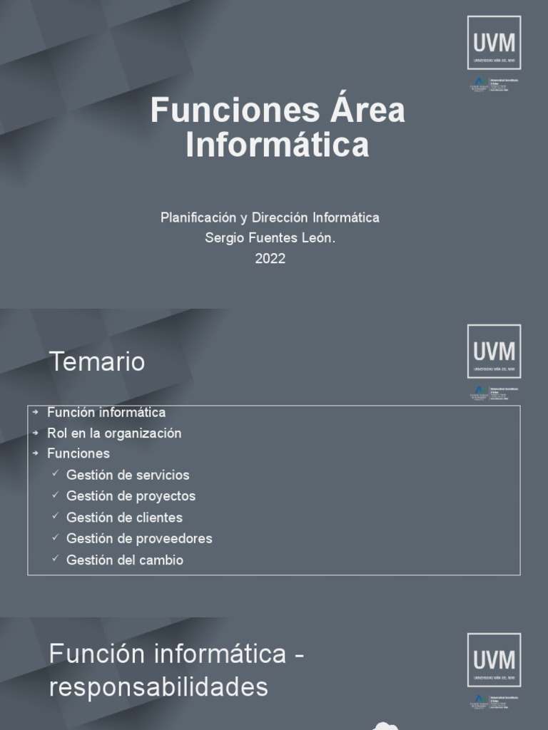 02-Funciones Área Informática | PDF | Informática | Planificación