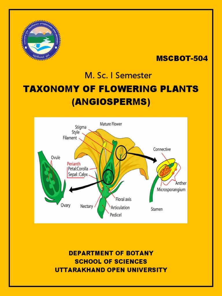 Mscbot 504 | PDF | Taxonomy (Biology) | Flowers