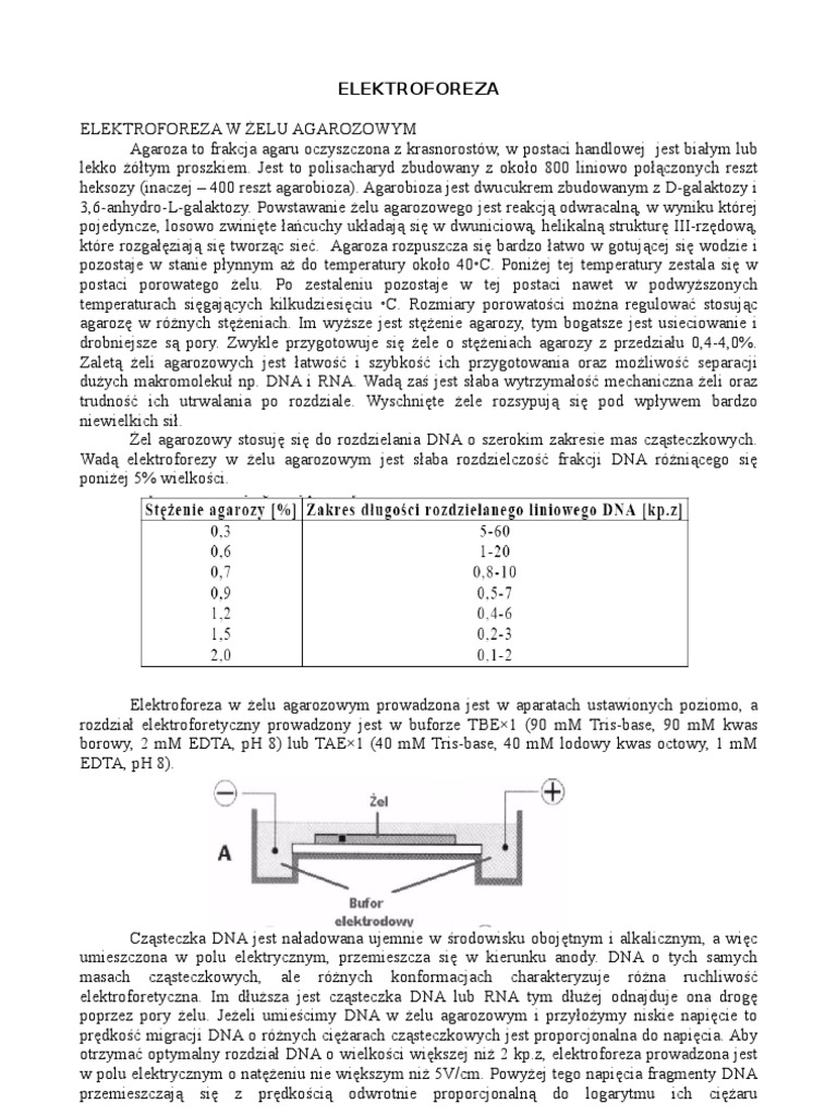 Elektroforeza