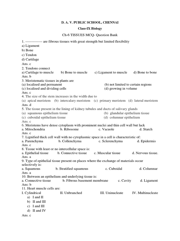 Tissues MCQ | PDF | Tissue (Biology) | Epithelium
