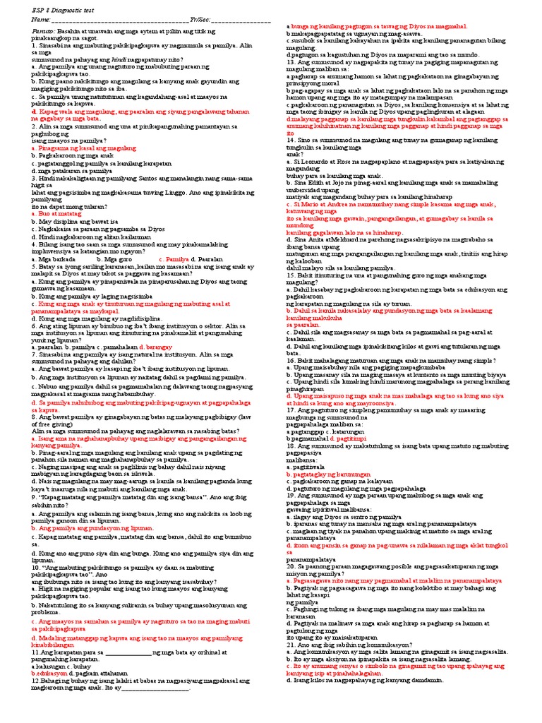 ESP 8 Diagnostic Test | PDF