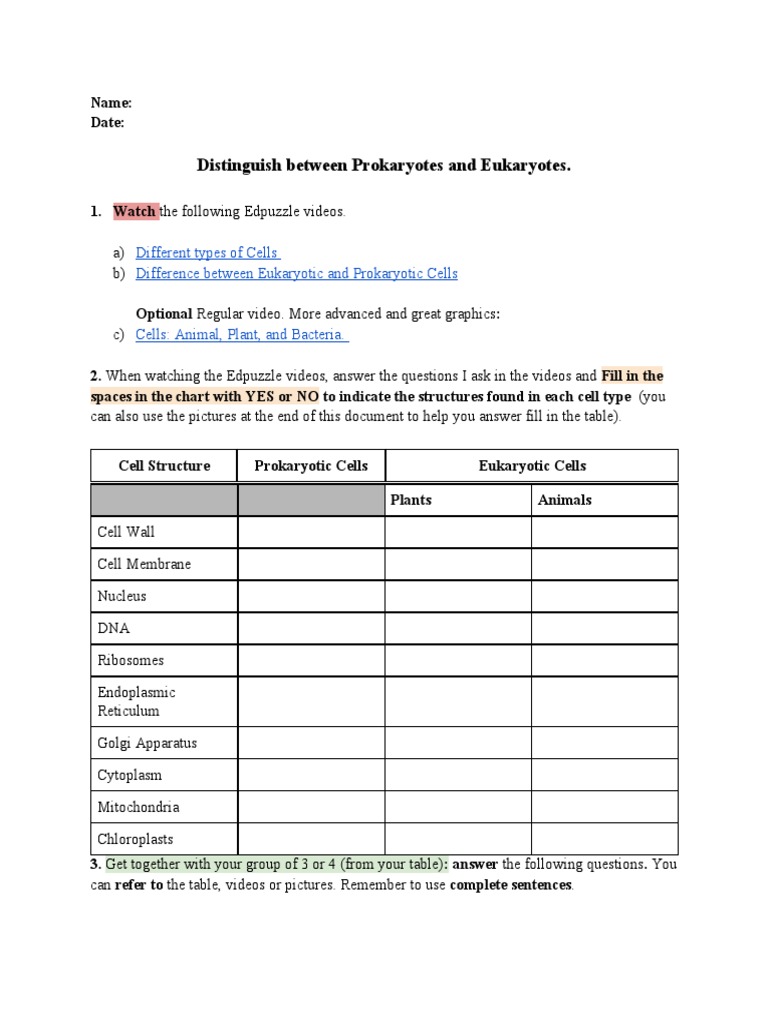 Week 5 Worksheet 1 Difference Between Eukaryotic and Prokaryotic Cells ...