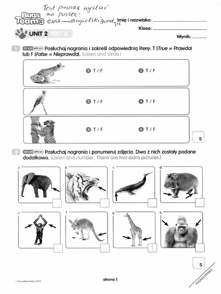 Bugs Team 3 Unit 2 Test | PDF