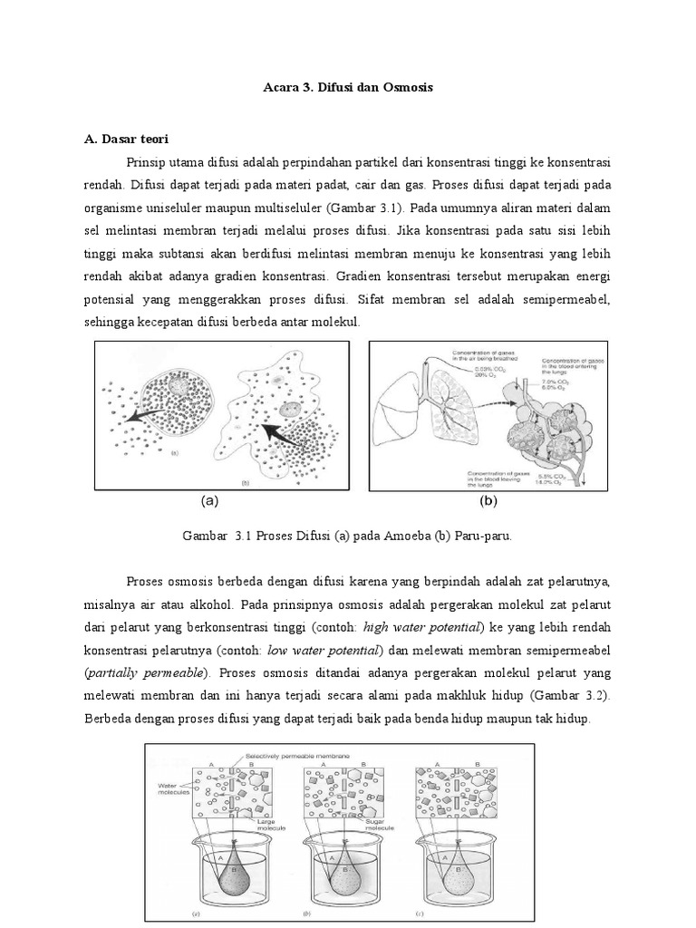 Difusi vs Osmosis: Prinsip dan Percobaan | PDF | Griya & Taman