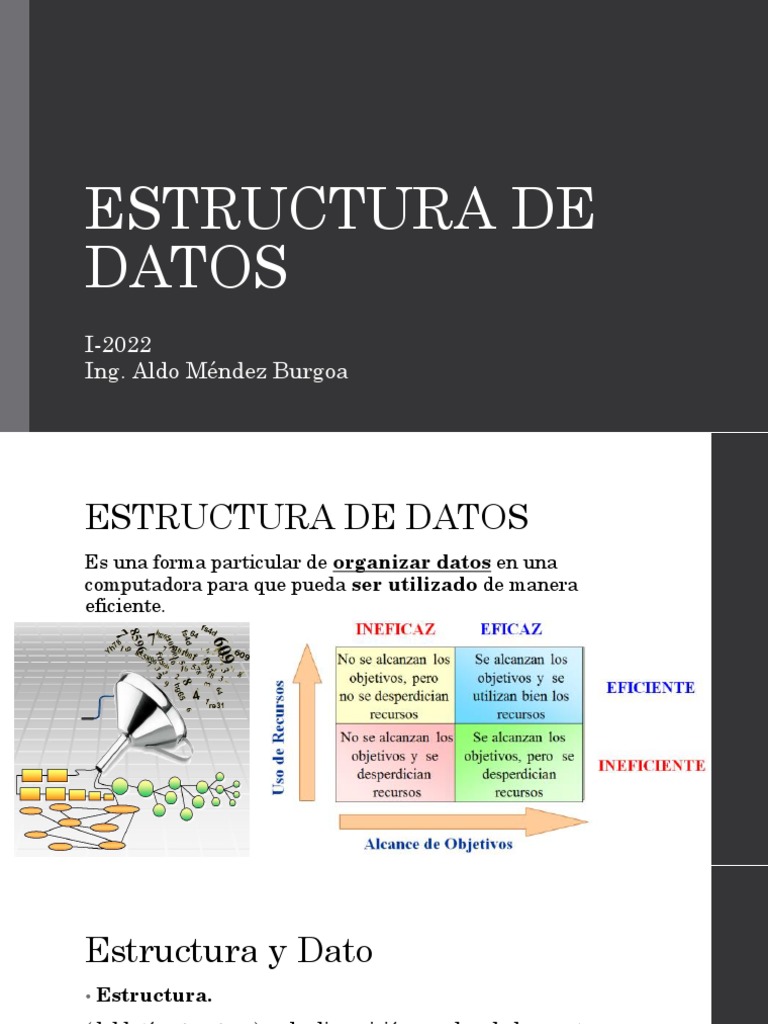 Estructura de Datos | PDF | Archivo de computadora | Lenguaje de programación