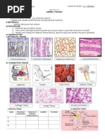Class9 Animal Tissues Worksheet | PDF | Connective Tissue | Tissue (Biology)