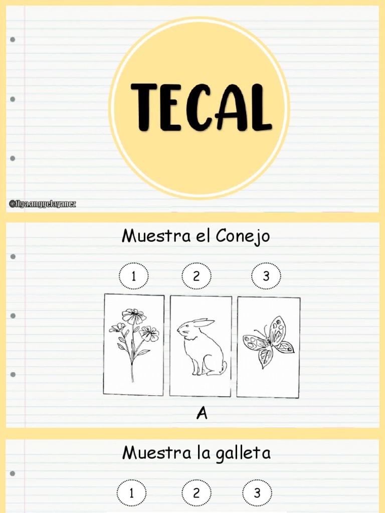 TECAL | PDF