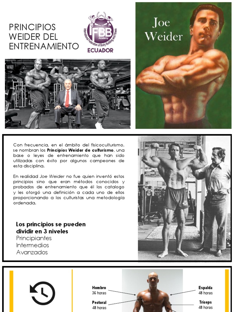 Principios Weider | PDF | Músculo esquelético | Contracción muscular