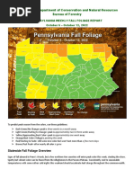 Amazon Rainforest Case Study | PDF