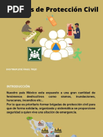 Formación de Brigadas de Proteccion Civil | PDF