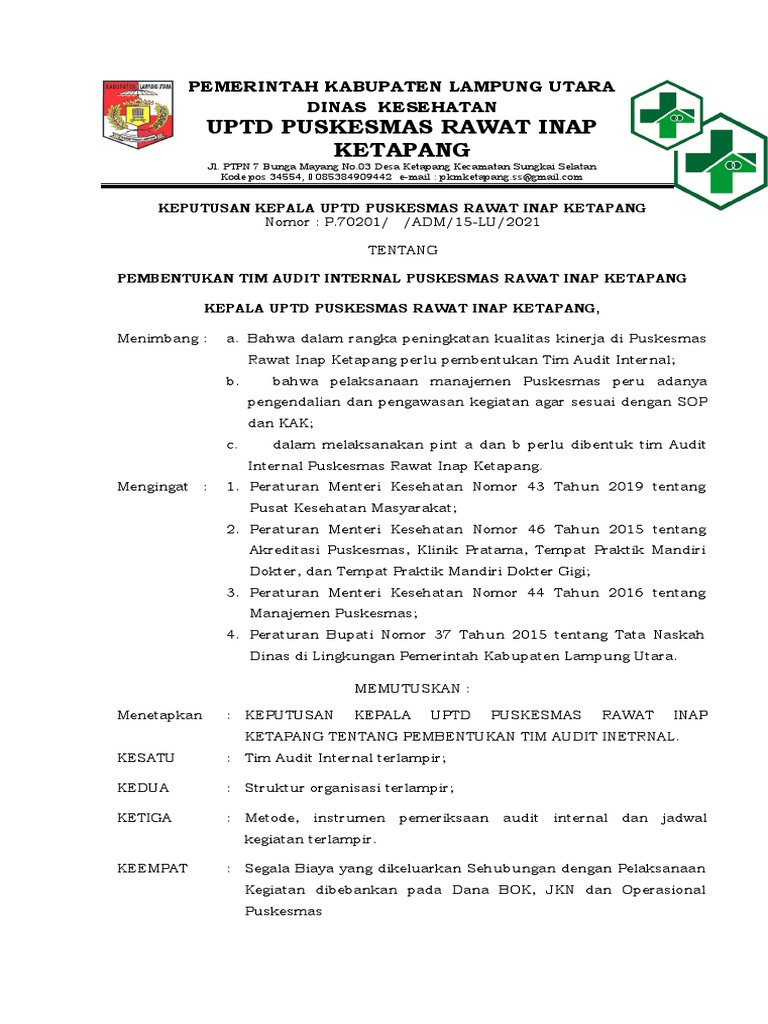 3.1.1.4 SK KAPUS TTG Struktur Organisasi Tim Audit Internal | PDF