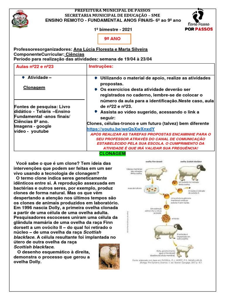 9º Ano Cienc. Aulas 22 e 23 - Clonagem Ok | PDF | Clonagem | Genética