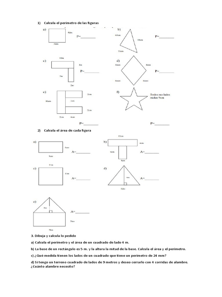 Guia Area y Perimetro | PDF