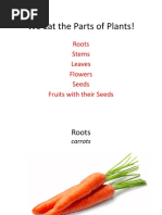 Edible Parts of Plants Explained | PDF | Fruit | Vegetables