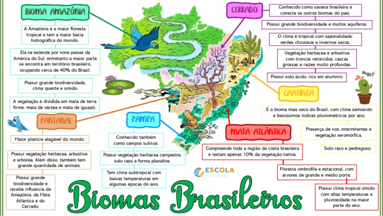 Mapa Mental Biomas Brasileiros | PDF | Florestas | Geociências
