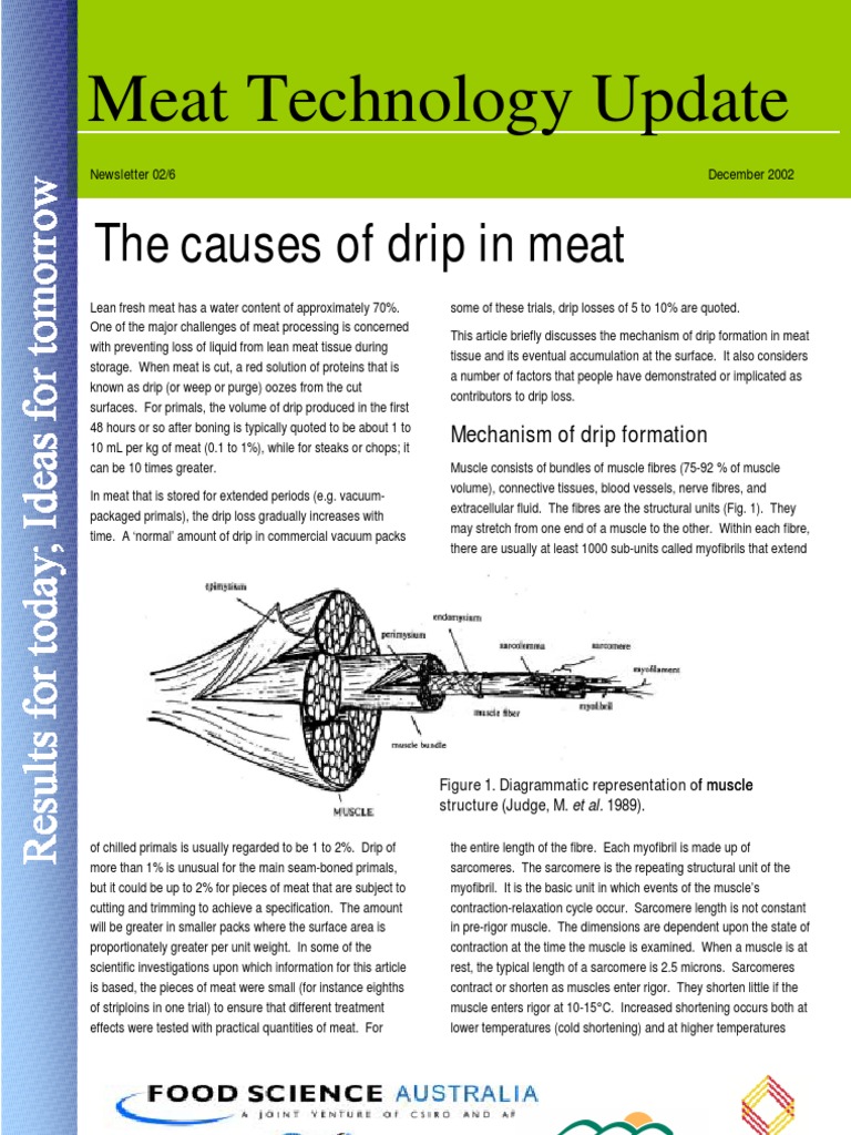 Causes of Drip Loss in Lean Meat | PDF | Meat | Muscle