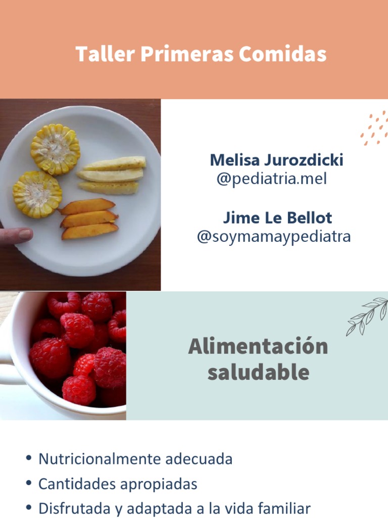 Guía de Alimentación para Bebés 6-12 Meses | PDF | Alimentos | Panes
