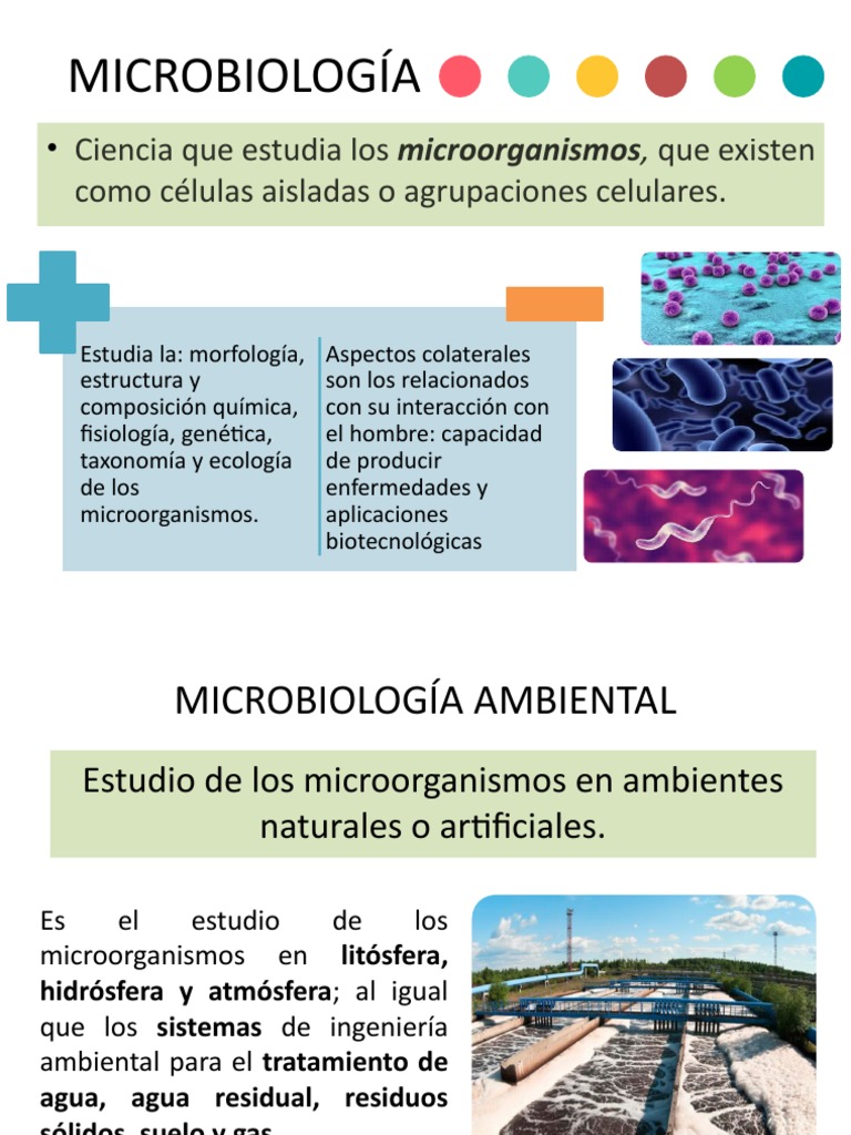 Microbiología Introducción | PDF | Procariota | Algas