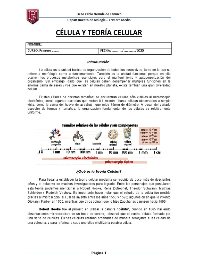 1ro Biologia Guia-1 Uniad-0 Celula-Y-Organelos | PDF | Biología Celular ...