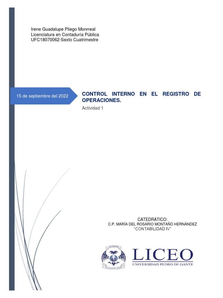 Actividad 1 - Control Interno en El Registro de Operaciones | PDF | Contabilidad | Estado financiero