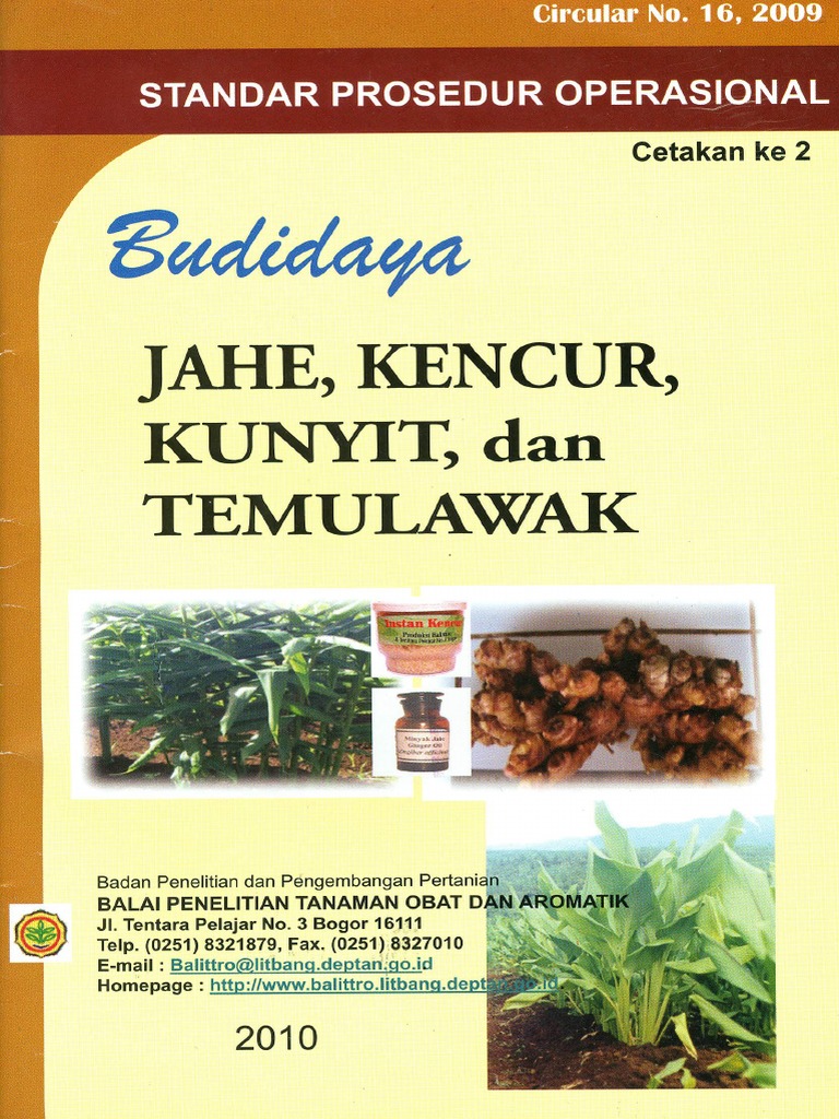 Budidaya Jahe, Kencur, Kunyit Dan Temulawak | PDF