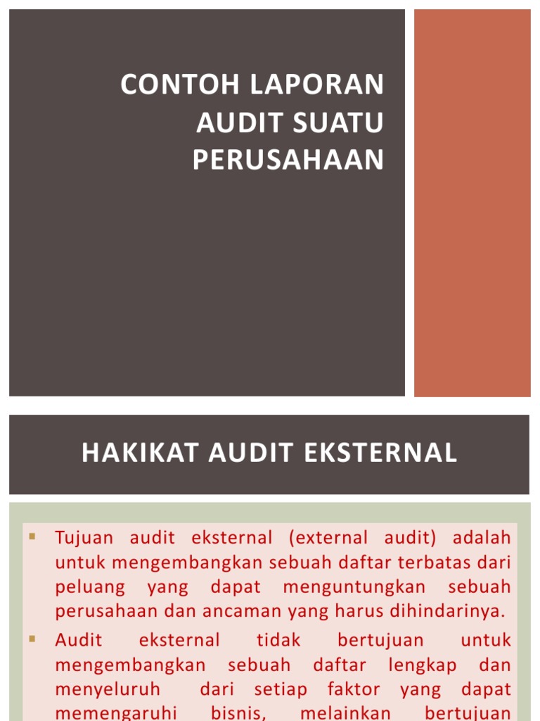 Contoh Audit | PDF