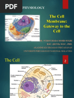 Cell Transport Concept-Map | PDF | Membrane Biology | Life Sciences