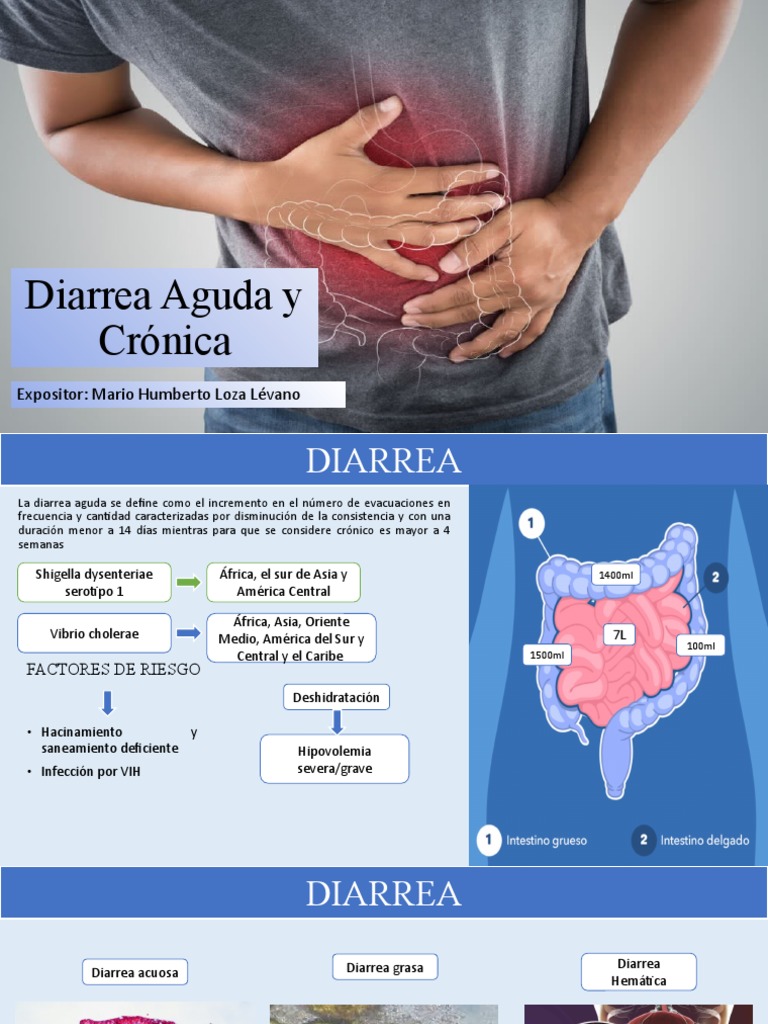 Diarrea Aguda y Crónica | PDF | Diarrea | Microbiología