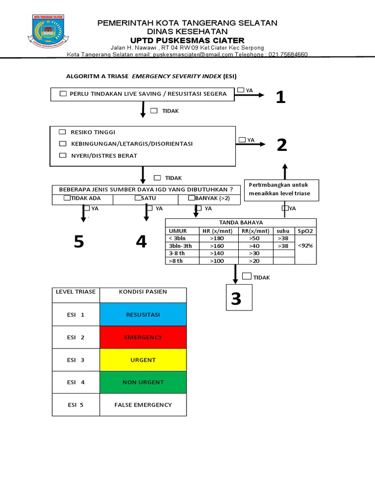 Algoritma Triase ESI untuk Puskesmas | PDF