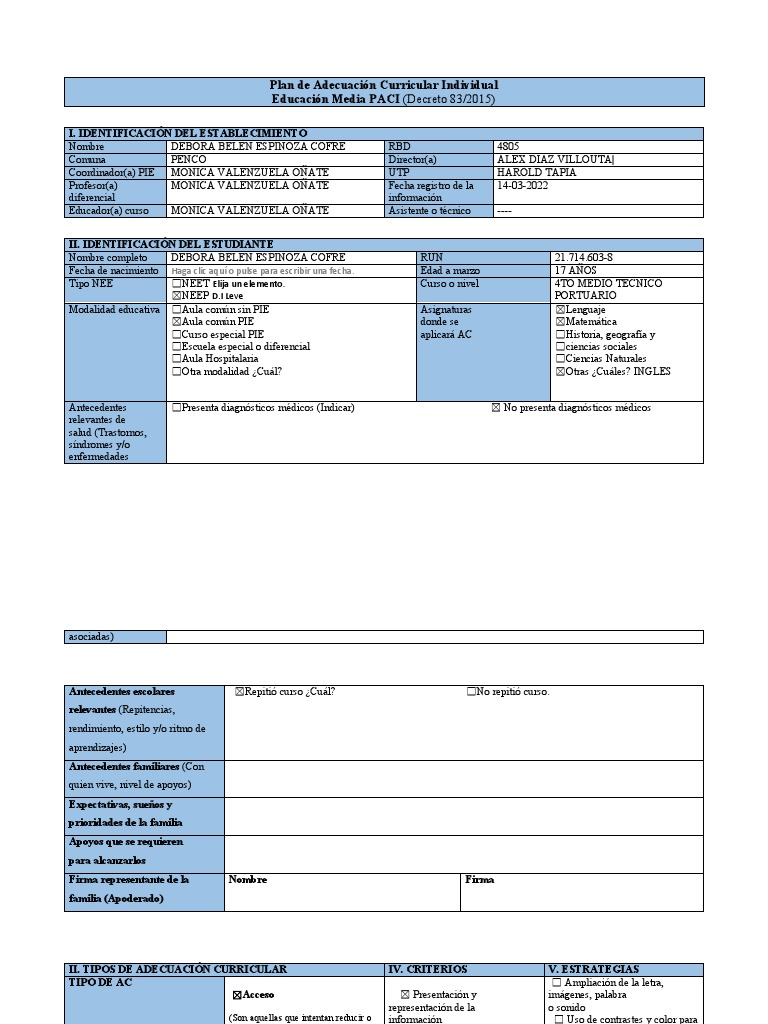 Formato PACI 4° MEDIO .Docx Versión 1 | PDF