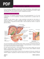 Anatomia e Fisiologia do Pâncreas | PDF | Pâncreas | Câncer