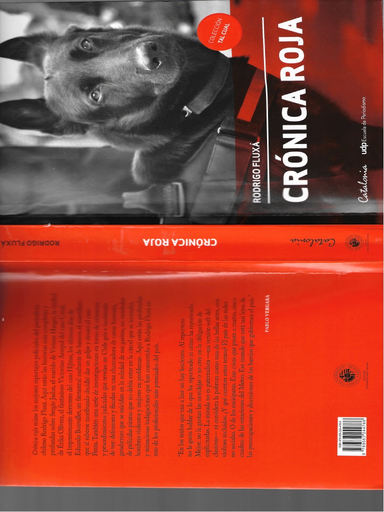 La Parabola de Paula | PDF