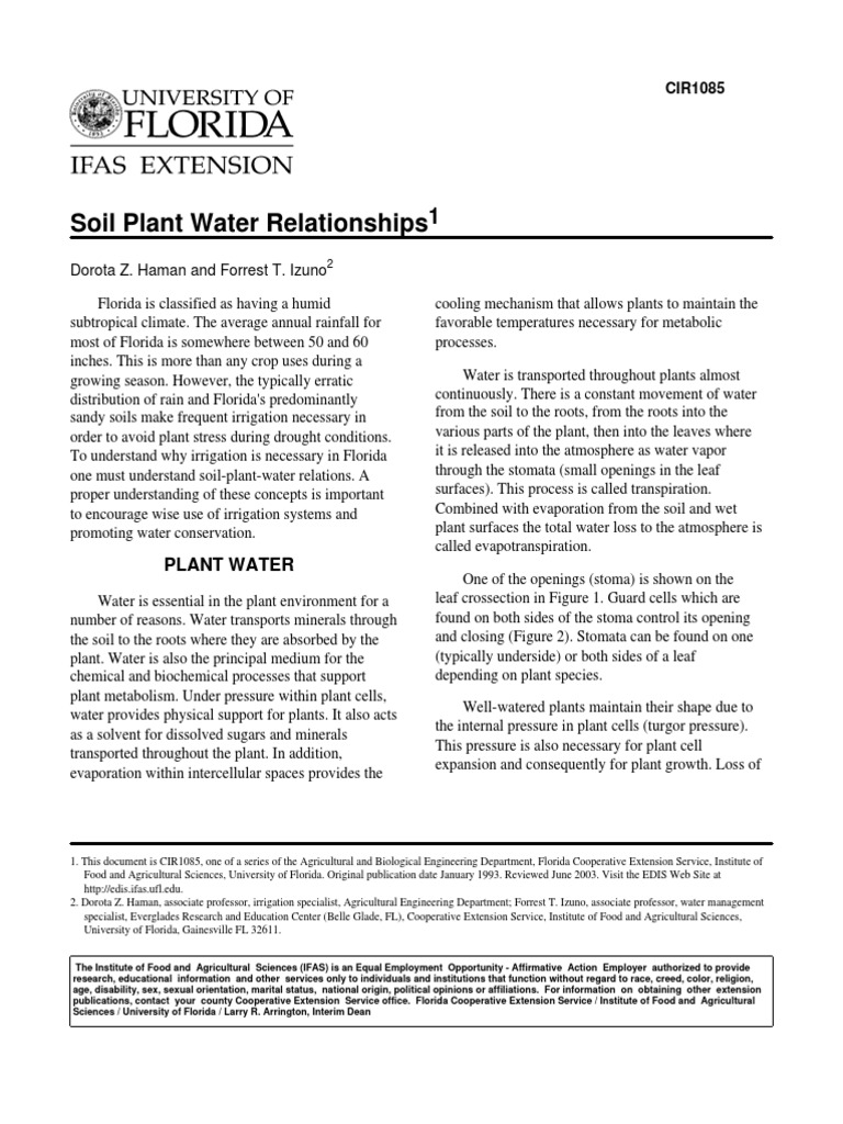 Soil Plant Water Relationships | PDF | Porosity | Stoma