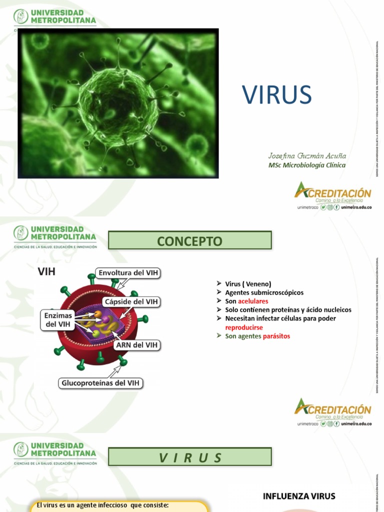 Guía Completa sobre Virus y Priones | PDF | Virus | Árbol de la vida ...