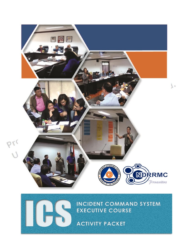 ICS Executive Course Activity Overview | PDF | Incident Command System