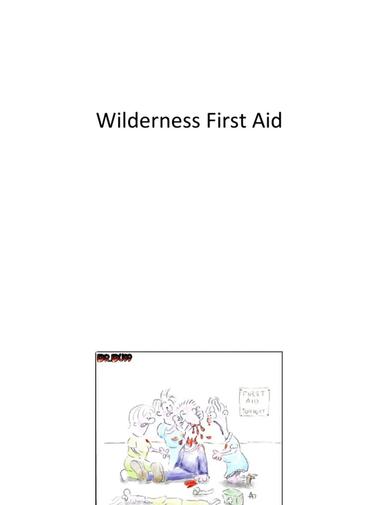 Wilderness First Aid Essentials Guide | PDF | Hypothermia | Burn