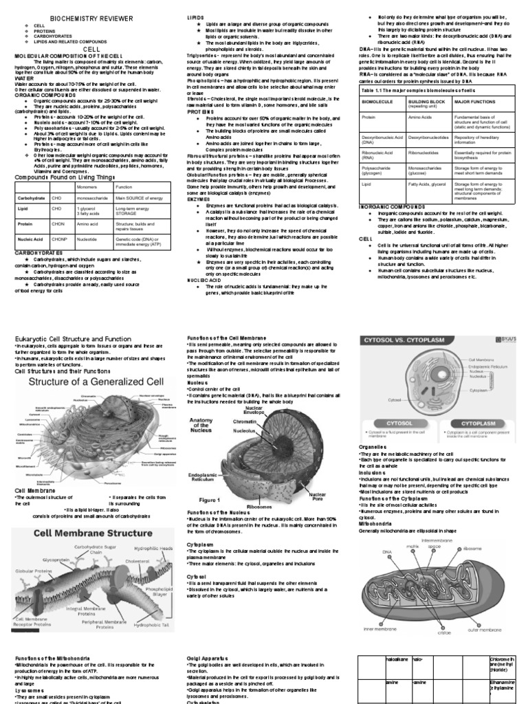 Biochemistry Reviewer | PDF | Cell (Biology) | Lysosome