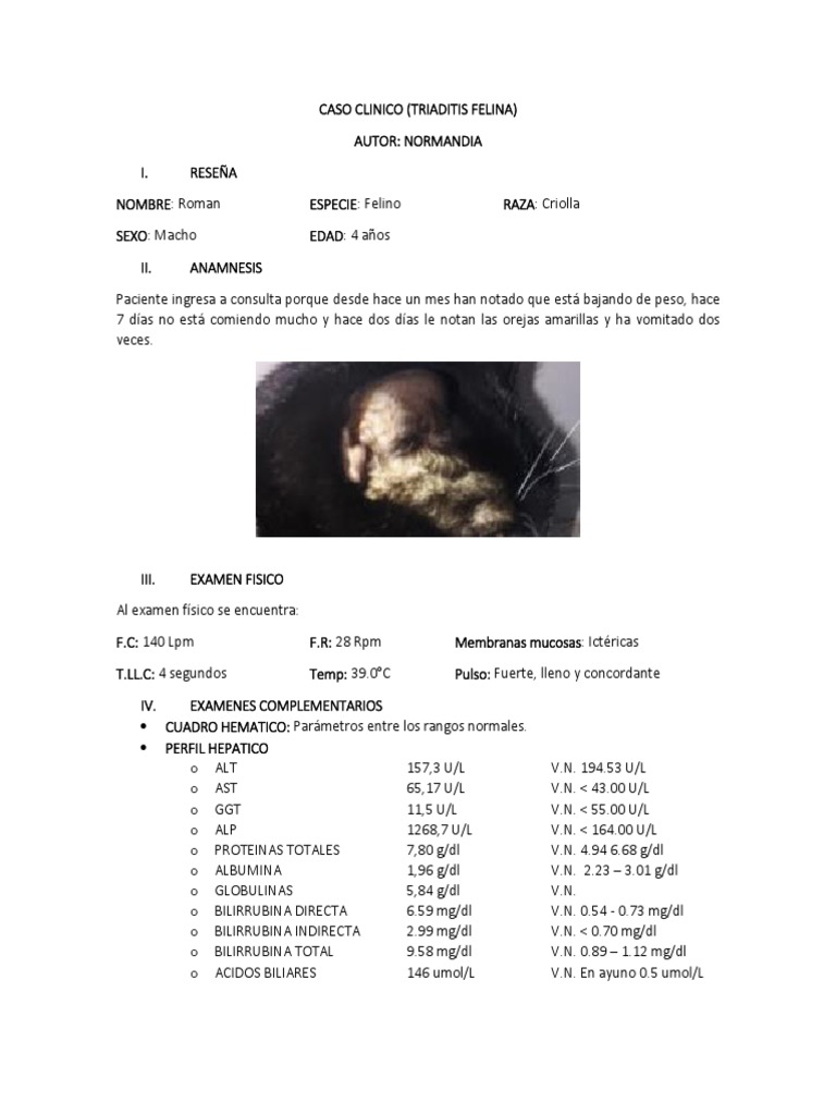 Triaditis felina y pancreatitis | PDF | Hígado | Gastroenterología