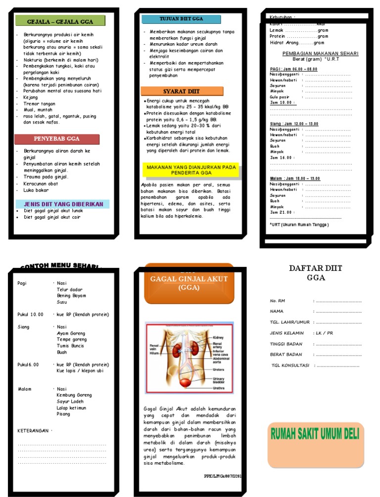 LEAFLET DIIT GAGAL GINJAL AKUT (Fix) | PDF