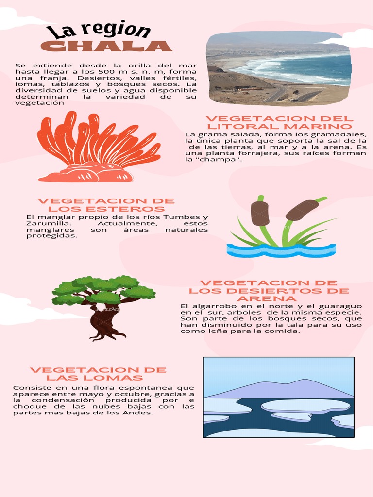 Mariadefatima Infografia Region Chala | PDF