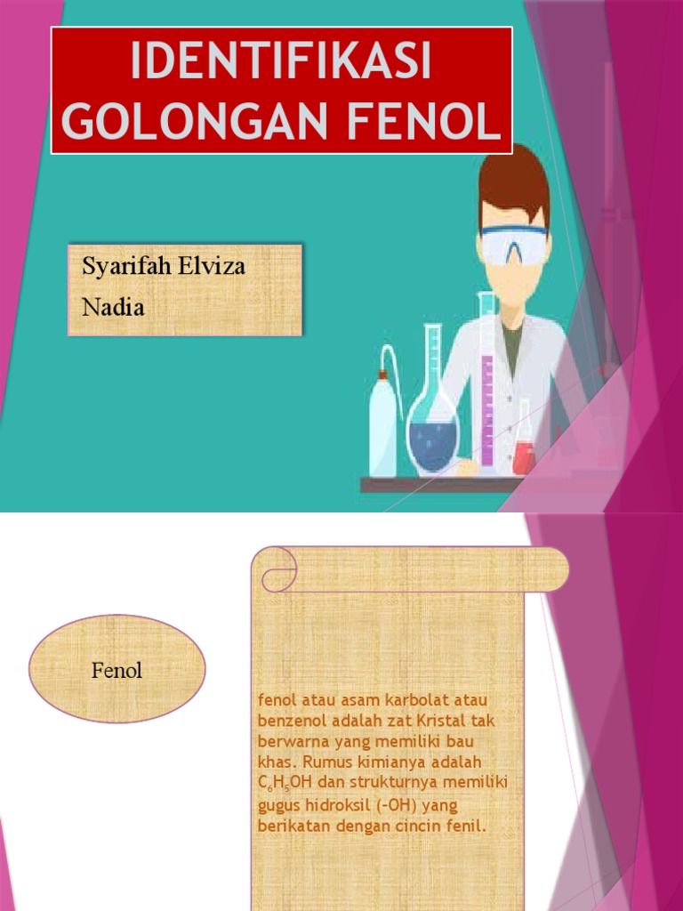Identifikasi Golongan Fenol | PDF