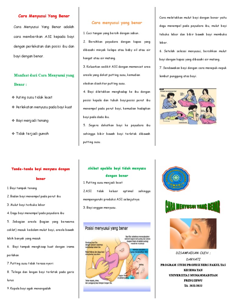 Leaflet Cara Menyusui Yang Benar | PDF