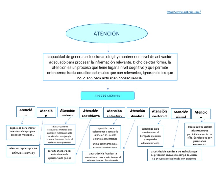 Tipos de Atención | Descargar gratis PDF | Atención | Neurociencia