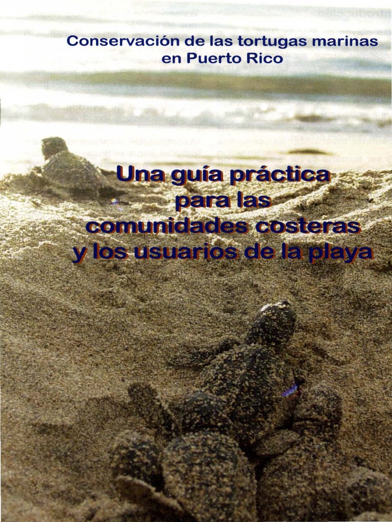 Conservación de Las Tortugas Marinas | PDF | Tortuga marina | playa