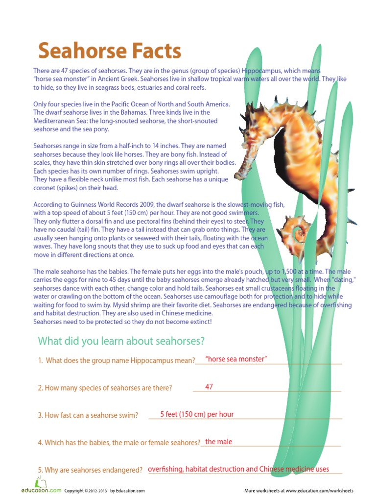 Seahorse Facts 3 | PDF | Aquatic Organisms | Organisms