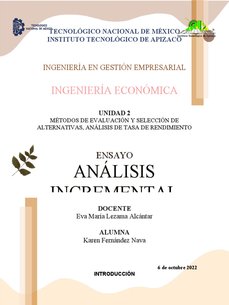 Ensayo Análisis Incremental | PDF | Inversiones | Economias